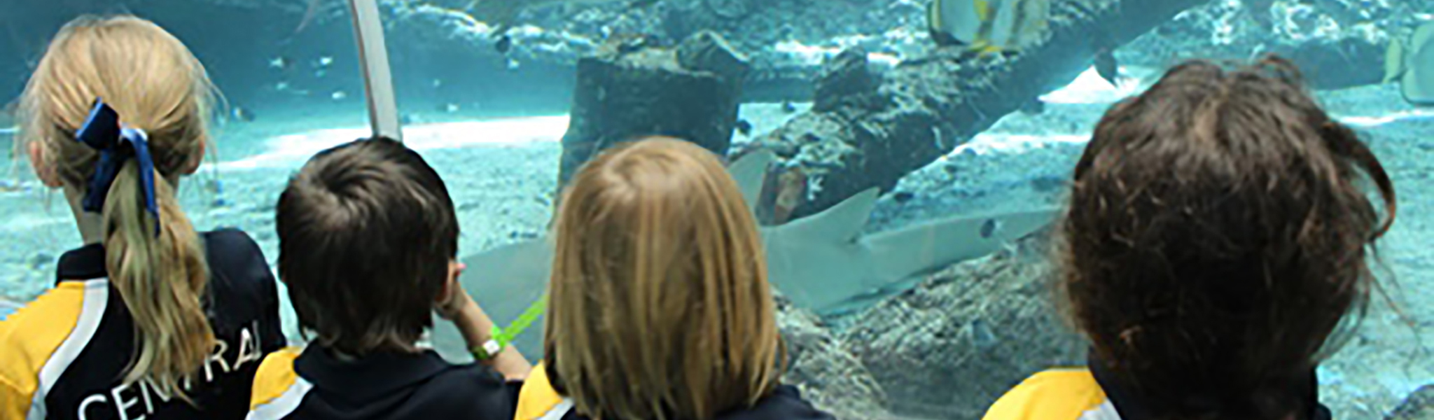 Charters Towers Central State School